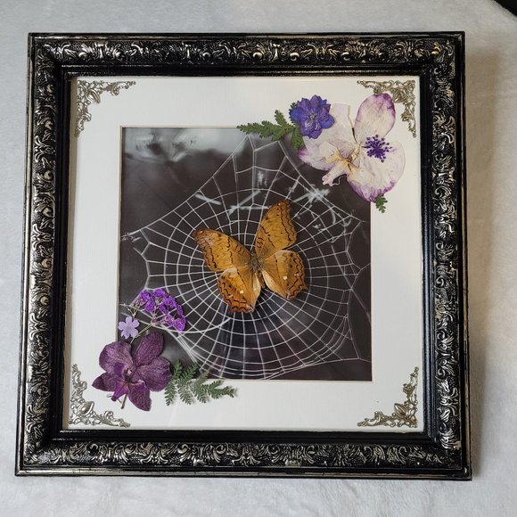Art | Vintage Real Butterfly Frame | Poshmark